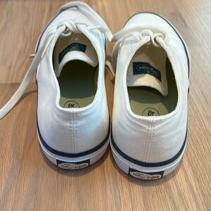 Sperry | Shoes | Sperry Classic Cvo | Poshmark